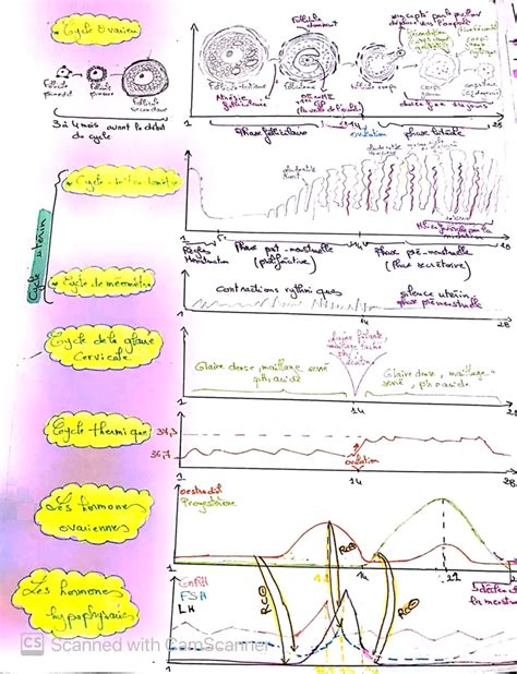 Bac Sc expérimentales Sciences SVT resume science toute l annee