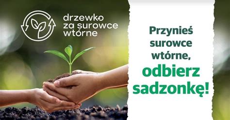 Akcja ekologiczna Drzewko za surowce wtórne w Galerii Niwa w