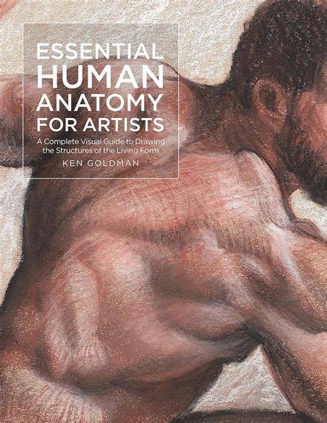 Mua Essential Human Anatomy For Artists A Complete Visual Guide To