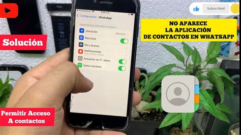 Como Permitir Que WhatsApp Acceda A Los Contactos En Iphone No