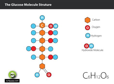 Diagram Of A Molecule