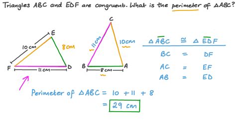 question video finding the perimeter of a triangle using the congruence of triangles nagwa