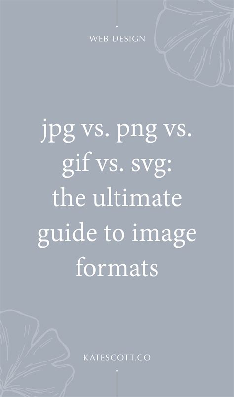 Vs Png Vs Vs Svg The Ultimate Guide To Image File Formats