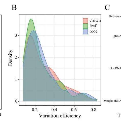 variation efficiency and validation of these identified rdds a download scientific diagram