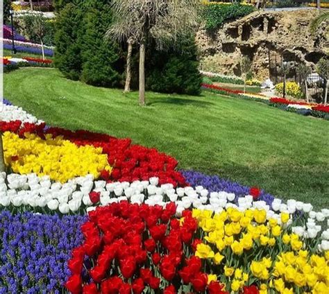 Emirgan Park Estambul Lo Que Se Debe Saber Antes De Viajar
