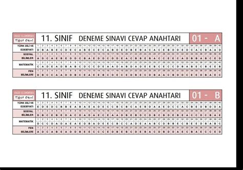 11 SINIF TESTOKUL DENEME SINAVI CEVAP ANAHTARI OLAN VARMI Eodev