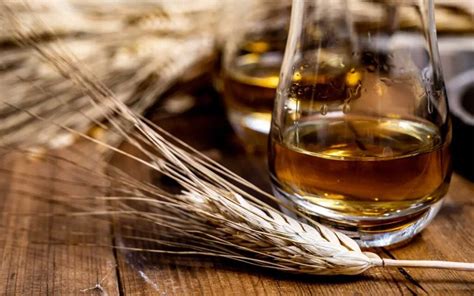 Sabes de qué se hace el whisky Aquí te contamos Descorcha