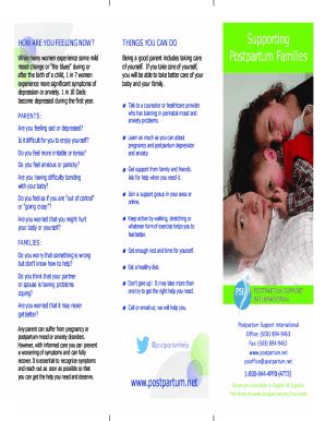 Completable En línea Baby Blues and Postpartum Depression What s the