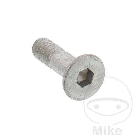 Śruba tarczy hamulcowej M8x1 25 25mm KLX 450 13765686621 oficjalne