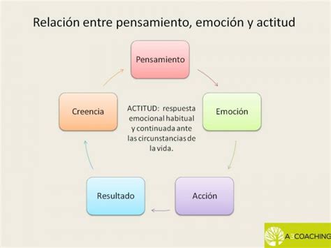 RELACIÓN ENTRE ACTITUD EMOCIÓN Y PENSAMIENTO A3Coaching Positive