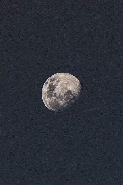 Gogoulart R On Twitter RT Moonpicxs