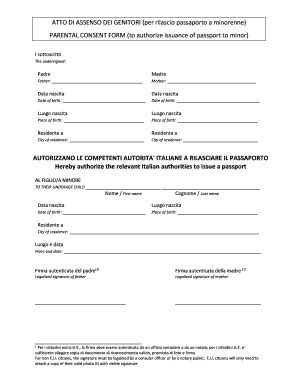 Atto Di Assenso Fill And Sign Printable Template Online