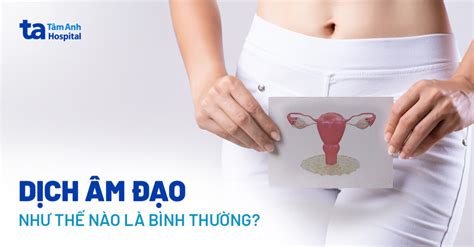 Tìm hiểu gì dịch Ý nghĩa và cách sử dụng trong tiếng Việt