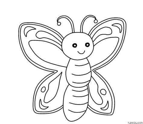 Easy Baby Butterflies Coloring Page Turkau The Best Porn Website