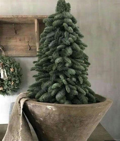 Echte Kerstboom Nobilis Cm Handgemaakt Vers Kerst Decoratie