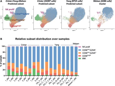 Frontiers Single Cell Transcriptomics In Bone Marrow Delineates