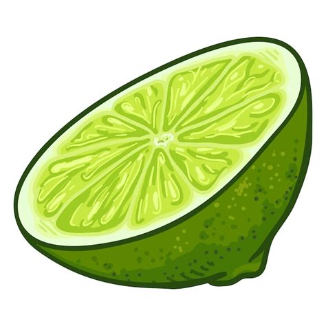 Premium Vector Vector Cartoon Half Cut Of Lime Fruit