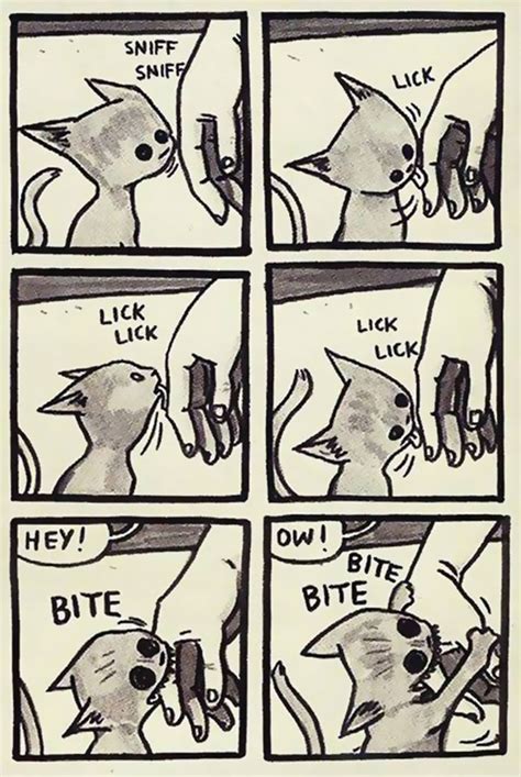 15 Hilarious Comic Strips Every Cat Owner Will Understand
