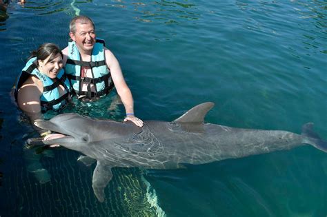 El Mejor Lugar Para Nadar Con Delfines En Cancún Isla Mujeres Dolphin