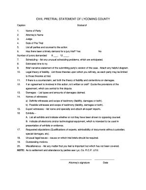 Sample Pretrial Memorandum Custody Complete With Ease Airslate Signnow