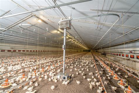 Robots For Precision Poultry And Egg Production Precision Poultry Farming