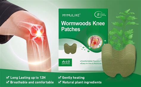 60Pcs Knee Pain Relief Patches Kit Wellknee Pain Relief Patch For Knee