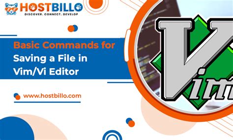 How To Save A File In Vim Vi Editor Hostbillo Blog Web Hosting