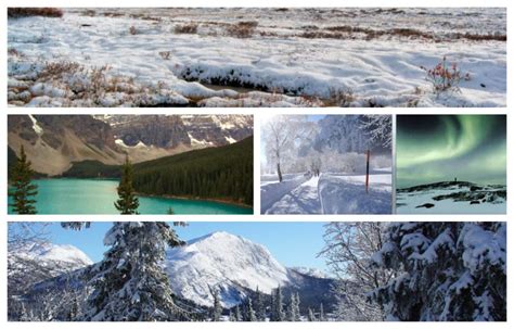 Clima Frio Caracter Sticas Zonas Y Componentes