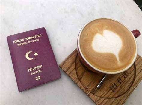 Bordo Pasaport Ücretleri 2024 Umuma Mahsus Pasaport Nedir Ve Nasıl
