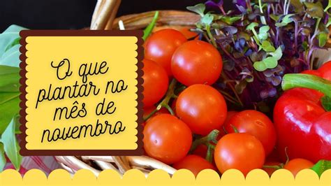O que plantar na horta no mês de novembro YouTube