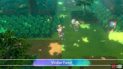 Route 2 And Viridian Forest Gym 1 Boulder Badge Walkthrough