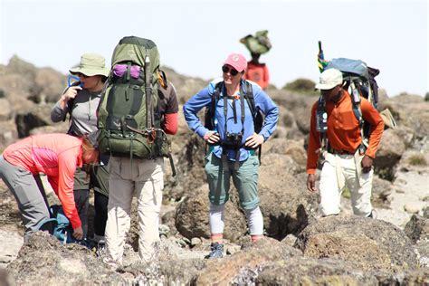 7 Days Kilimanjaro Hike Via Lemosho Route Serengeti African Tours