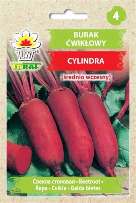 Przedmioty użytkownika Raj Nasion Warzywa Strona 7 Allegro
