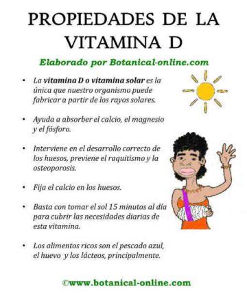 Propiedades De La Vitamina D Botanical Online