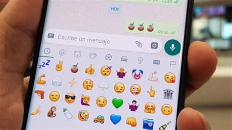 WhatsApp ahora podes reaccionar con más de 3500 emojis TN