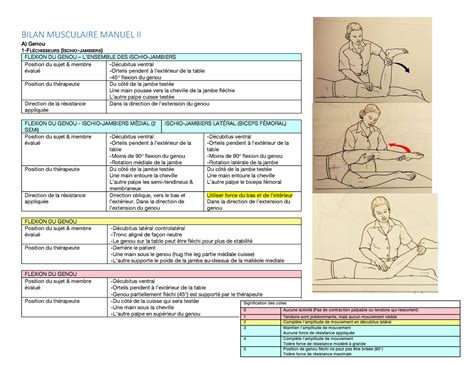 Synthèse Bilan mesure articulaire BILAN MUSCULAIRE MANUEL II A