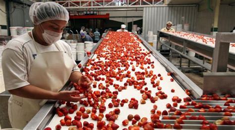 La industria alimentaria en México y su impacto económico y social