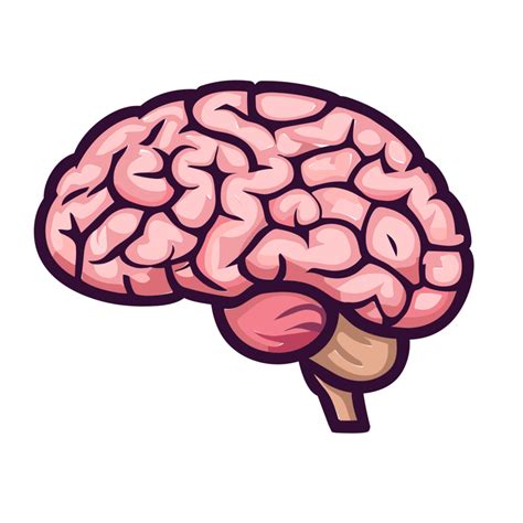 humano cerebro interno Organo anatomía dibujos animados plano icono