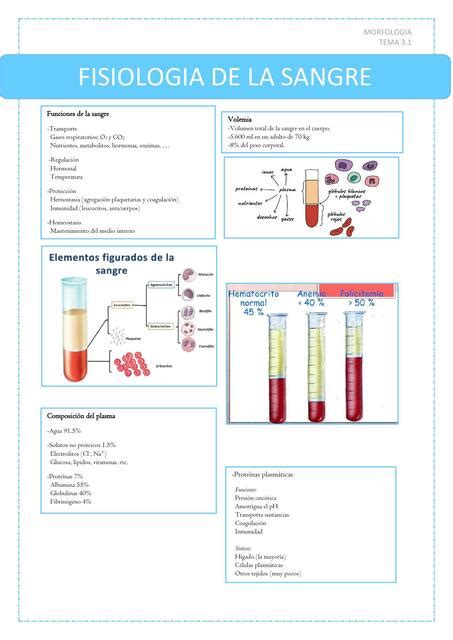 Fisiología de la Sangre Sasha Galvez Castillo uDocz