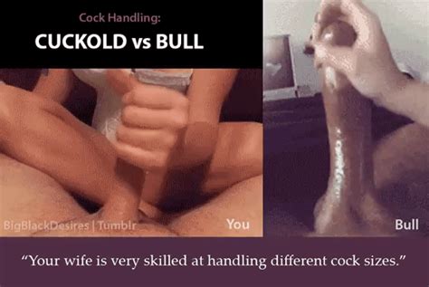 Cuckold Vs Bull Freewind
