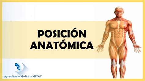 Insatisfecho Propuesta Alternativa Los Padres De Crianza