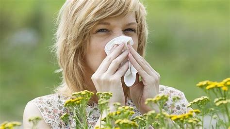 Tratamientos Y Remedios Naturales Para La Alergia Primaveral Teresa Pons
