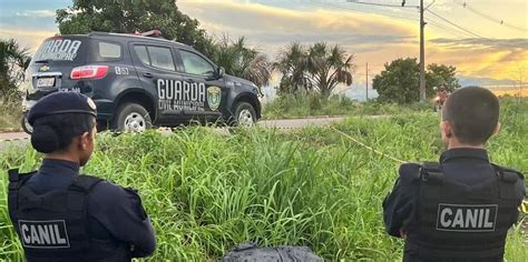 Corpo Encontrado Dentro De Saco Preto S Margens De Avenida Em Boa