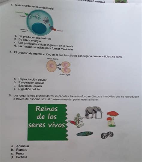 Holii Me Pueden Ayudar Pliss Brainly Lat