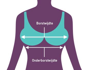 BH Maat Berekenen Voel Je Zeker Berekenen Nl