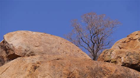 Fotos gratis paisaje árbol naturaleza rock desierto montaña