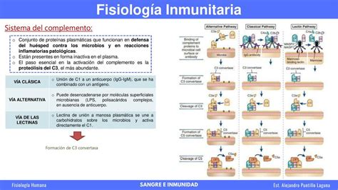 Sistema Del Complemento Alejandro Puntillo UDocz