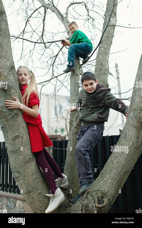 Enfants Grimpant Dans Les Arbres Banque De Photographies Et Dimages