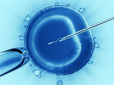 À propos de Transfer d embryon à l étranger Intclinics Blog