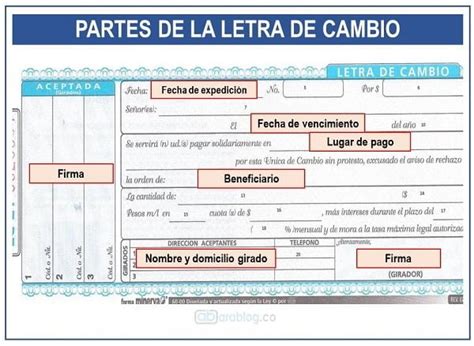 Cuales Son Las Partes De La Letra De Cambio Ara Blog